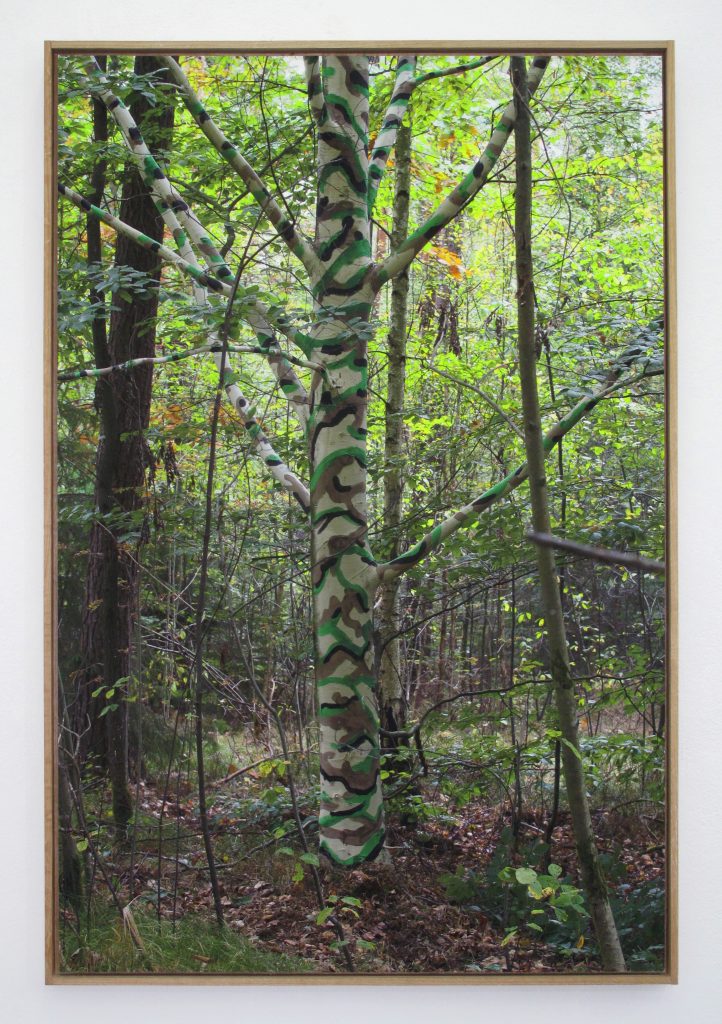 Camouflage Tree - Maarten Bel